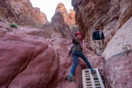 15 Essential Tips for Visiting Petra in Jordan | Anna Everywhere