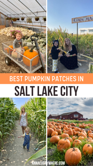 Best Pumpkin Patches in Salt Lake City