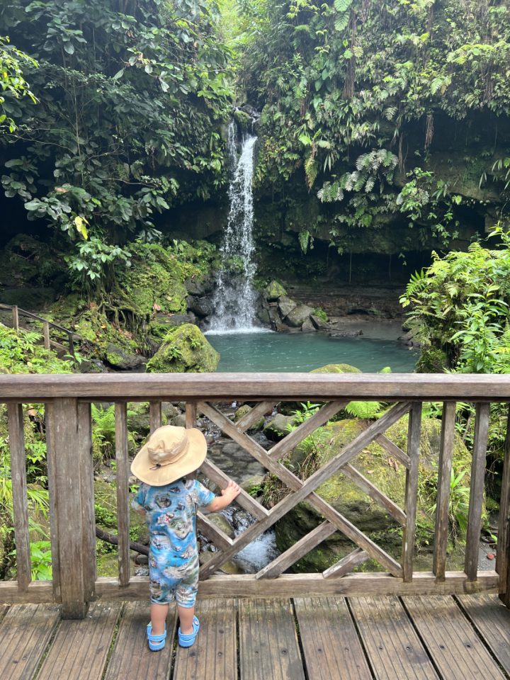 15 Best Things to Do in Dominica (With or Without Kids)